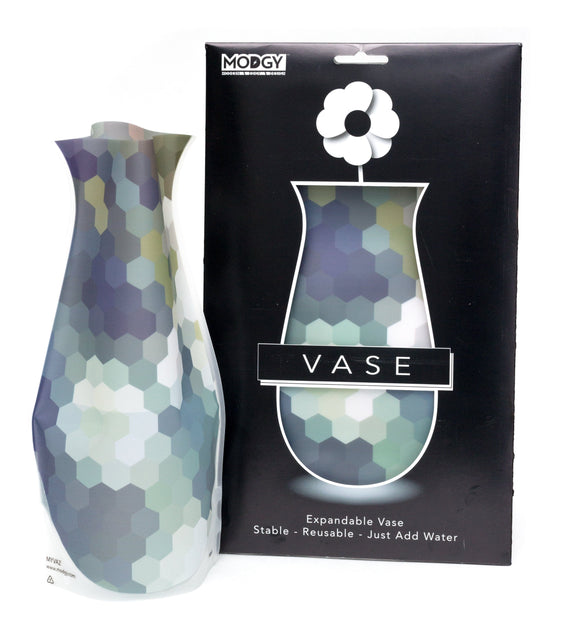 BizzyB Expandable Vase – Colourful Collapsible Flower Vase (Modgy ...