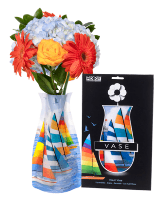 Nauti Expandable Vase – Colourful Collapsible Vase (Modgy) – Quirksy